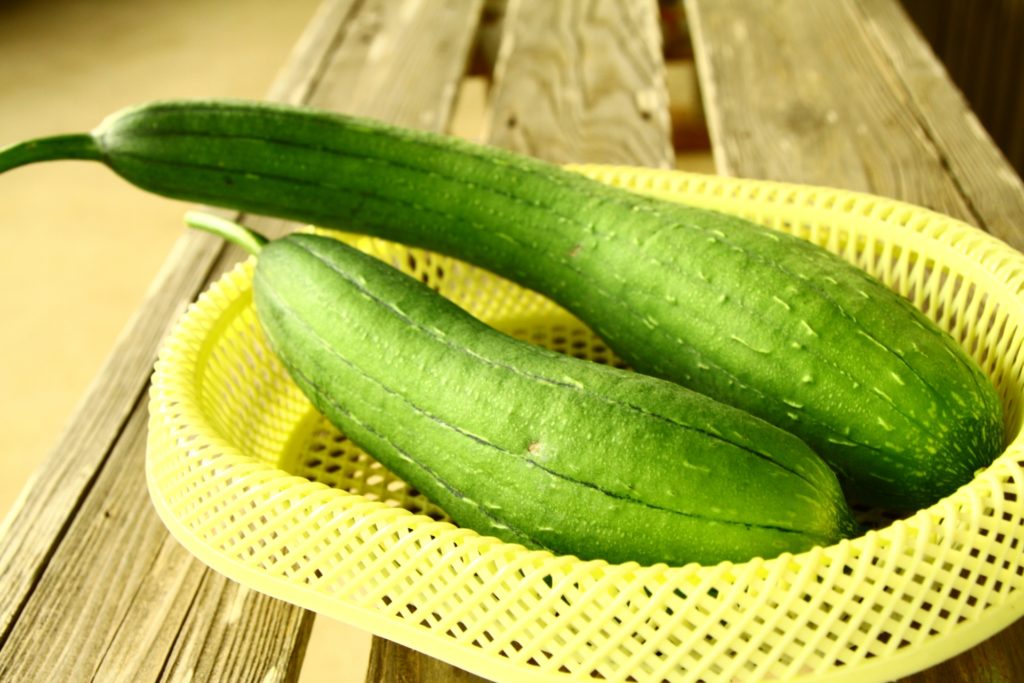 【沖縄でヘチマを食べるって本当？】食べ方や栄養価、旬の時期はいつ？ | 沖縄タイム.info